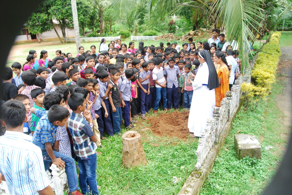 ST. THOMAS TTI – PALA